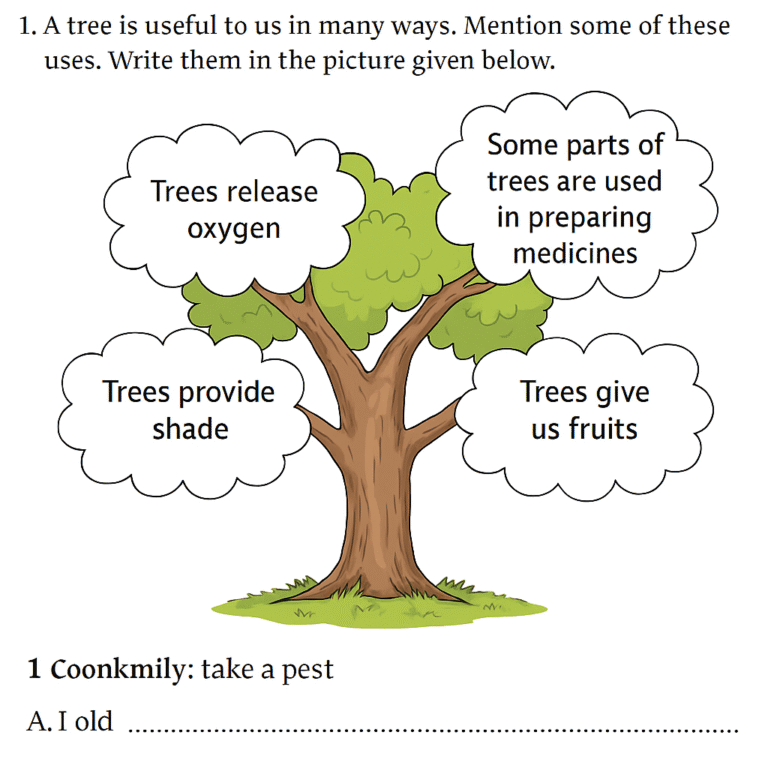 Textbook(Ncert) Questions And Answers of Neem Baba | Cbse Class 6 ...